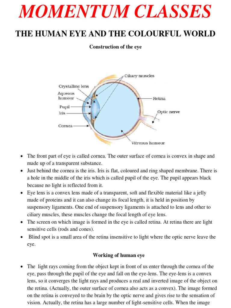 The Human Eye and The Colourful World | PDF | Sunset | Eye
