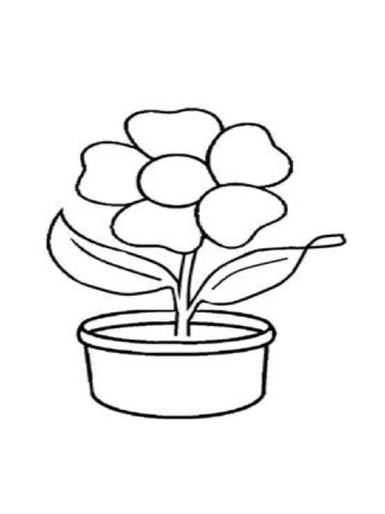 Sketsa | PDF