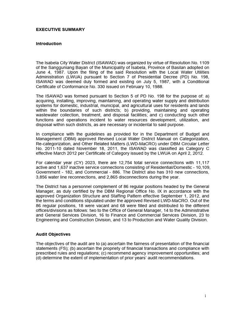 Exec Summary | PDF | Audit | Economies