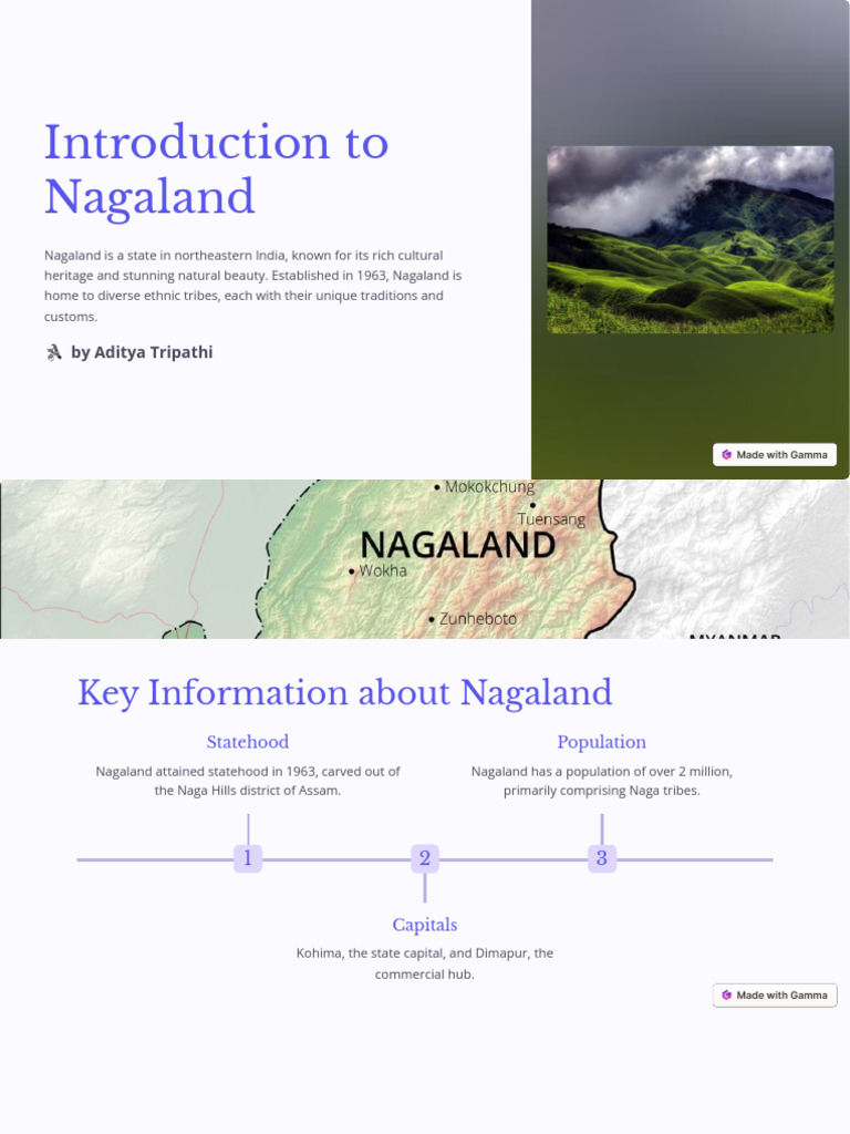 Introduction To Nagaland | PDF