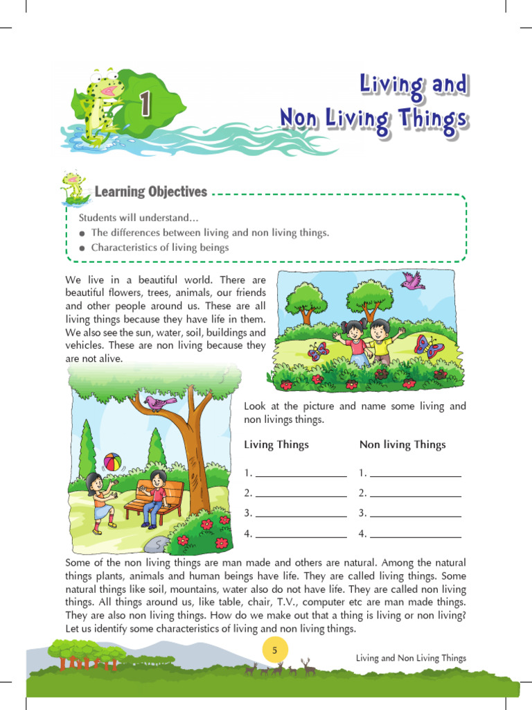 Evs 4 | PDF | Leaf | Human Body