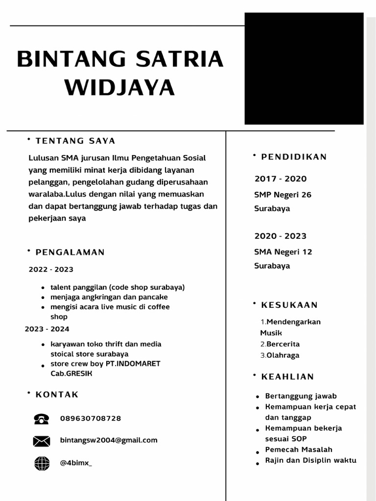 CV Bintang | PDF