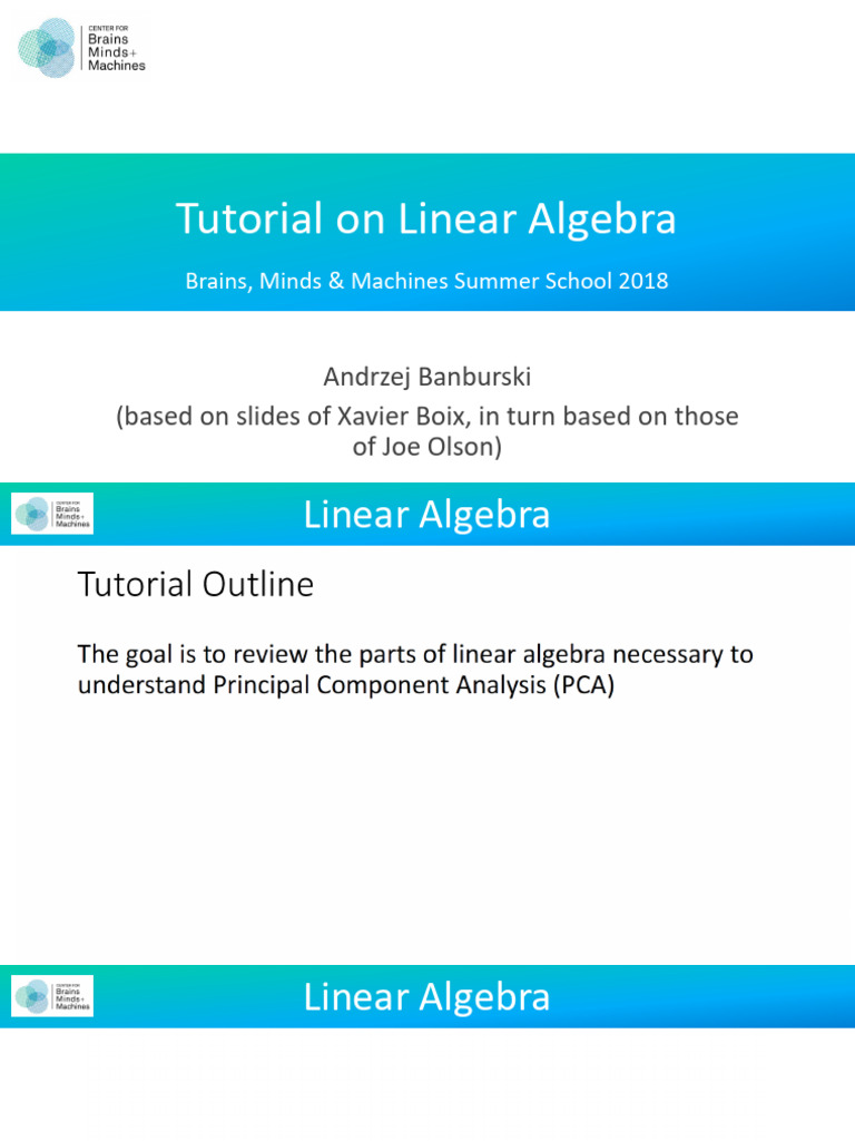 Algebra | PDF | Linear Algebra | Matrix (Mathematics)