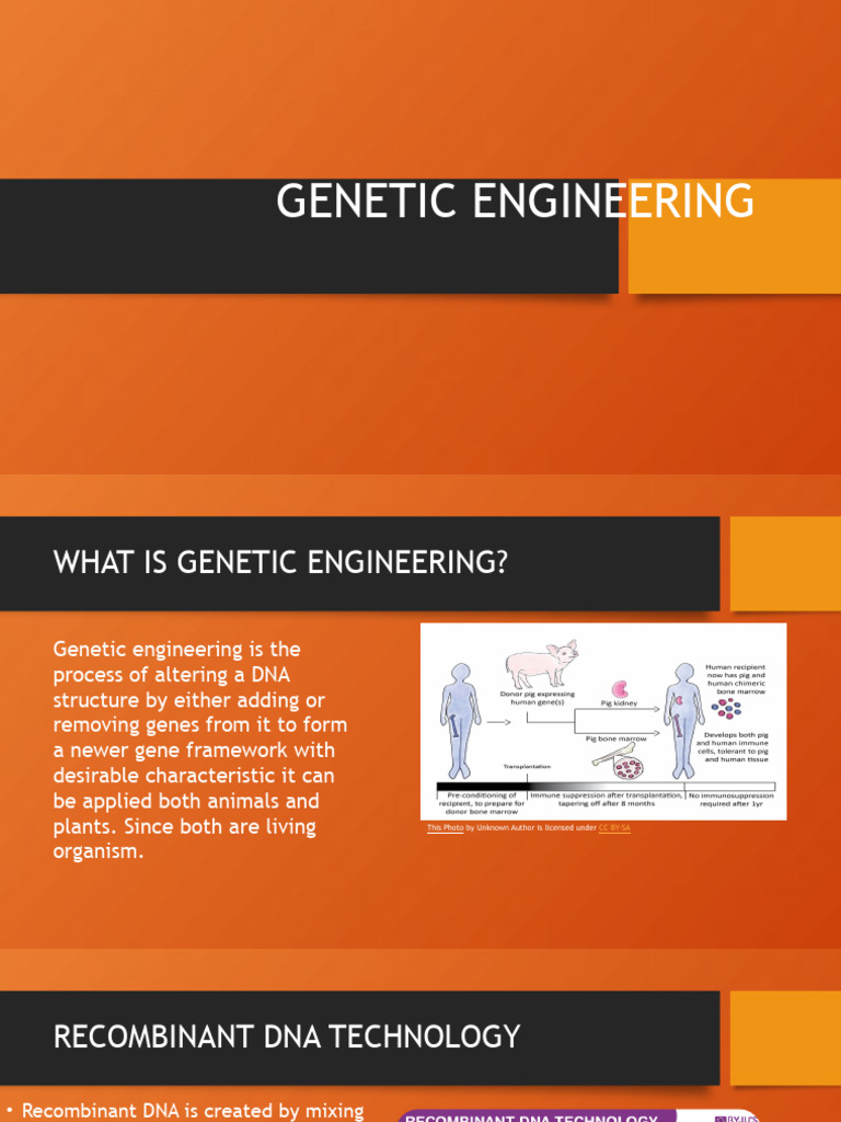 Understanding Genetic Engineering Processes | PDF | Plant Breeding ...