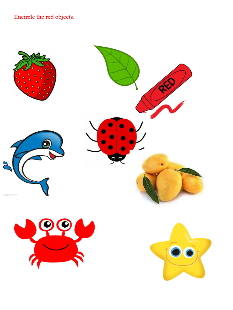 Encircle The Red Objects | PDF | Home & Garden