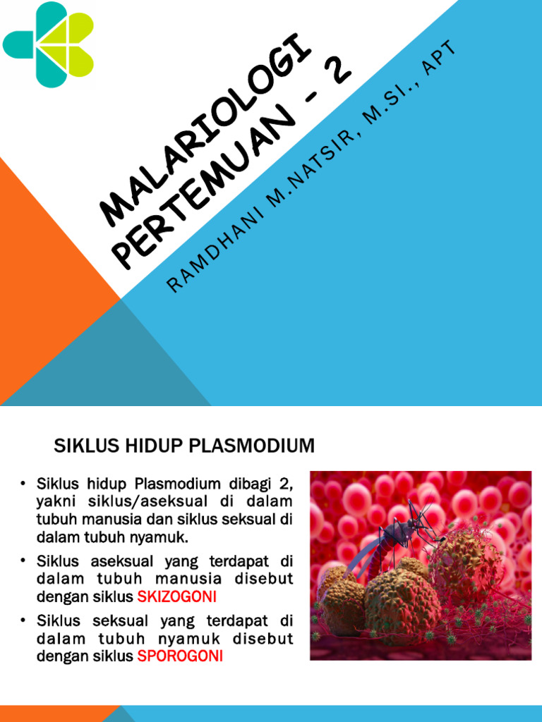 Pertemuan 2 - Siklus Plasmodium Baru | PDF