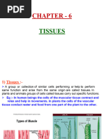 Tissues - PPT - Grade 9 | PDF | Epithelium | Tissue (Biology)