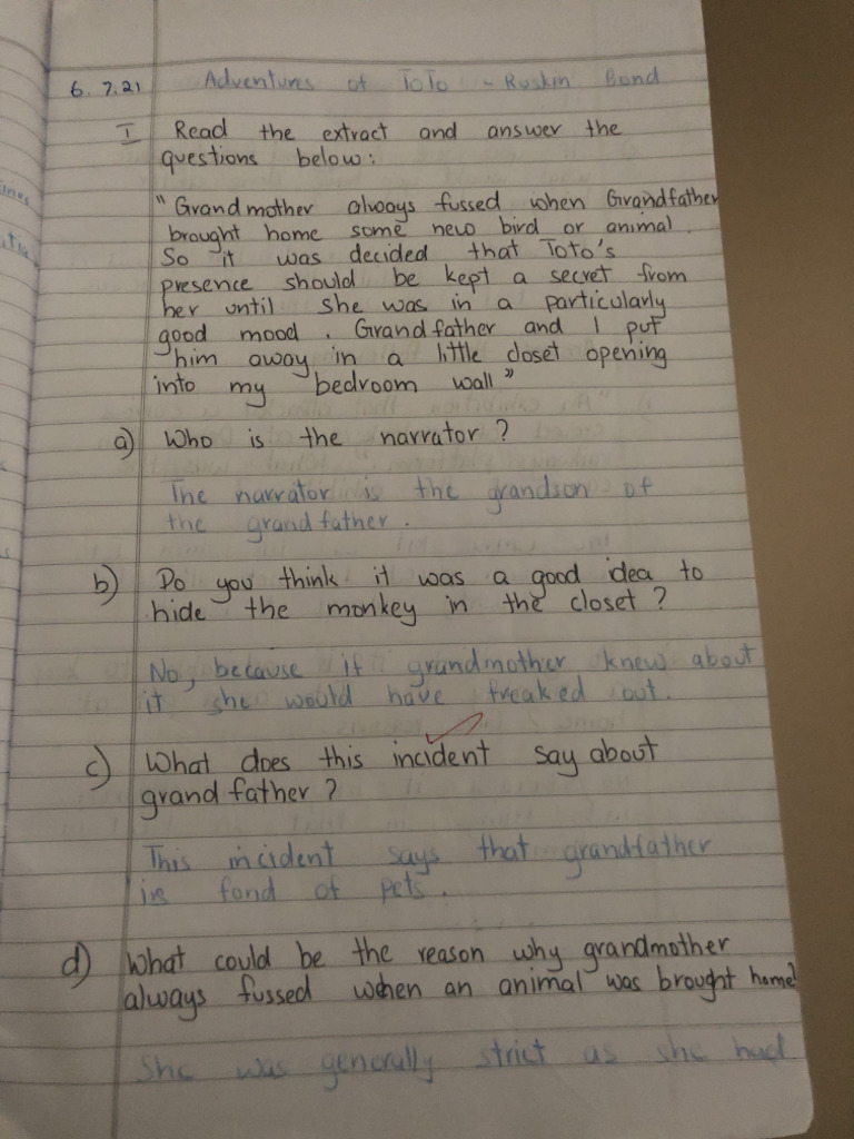 Adventures of Toro | PDF