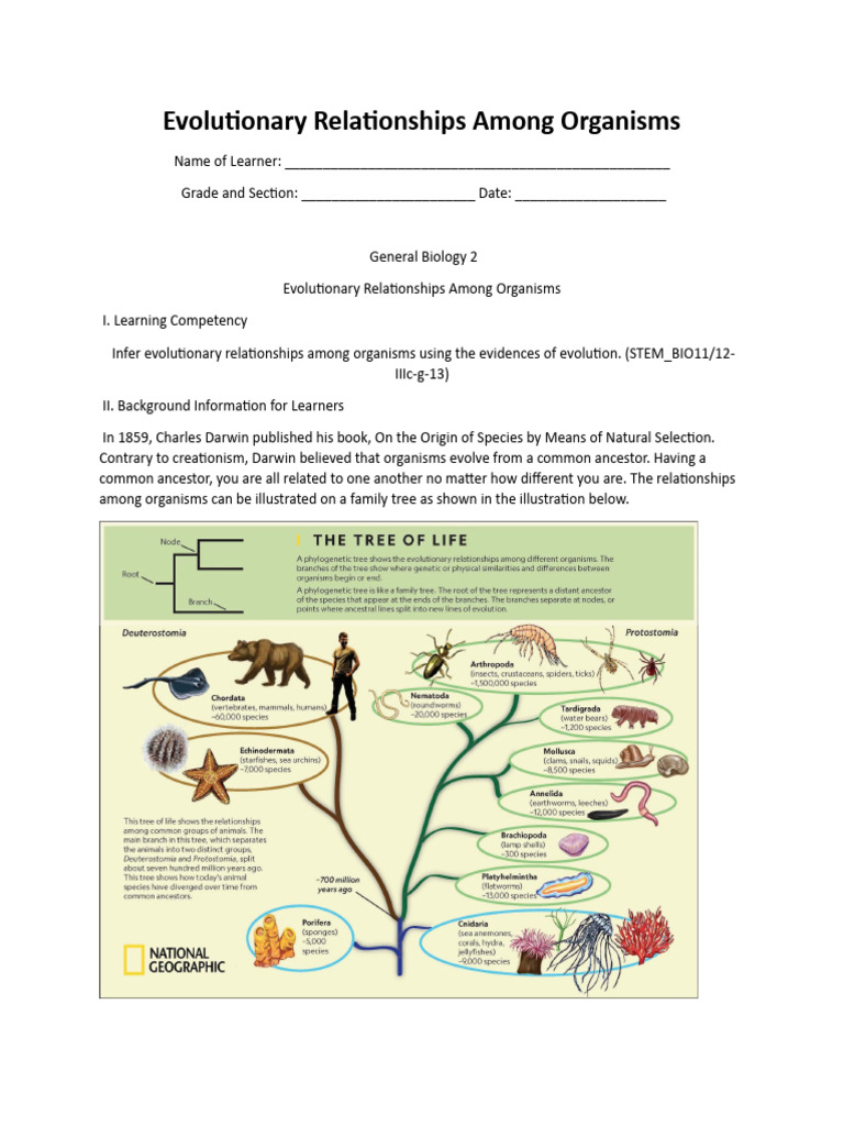 BIOLOGY MODULE MELC 8 Evolutionary Relationships Among Organisms | PDF | Molecular Phylogenetics ...