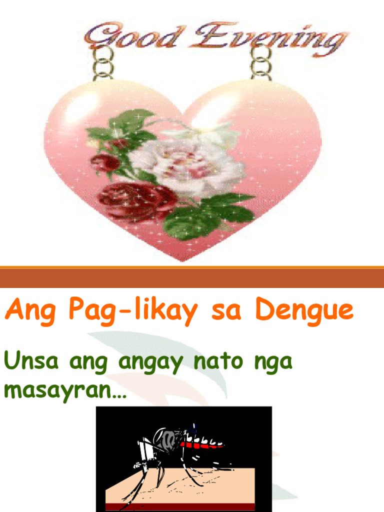 Dengue Fever Prevention Cebuan VersionFINAL | PDF