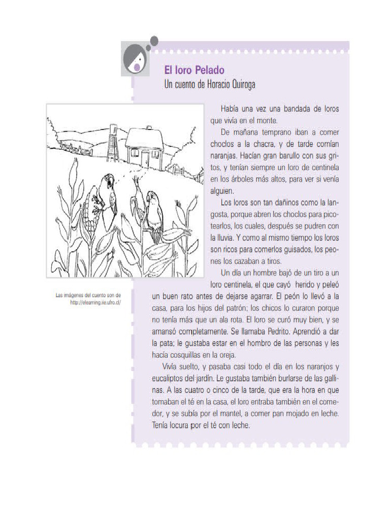Cuento El Loro Pelado | PDF