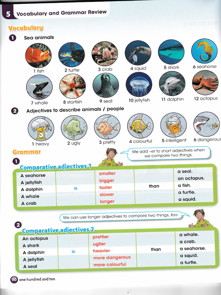 Under The See Quiz | PDF
