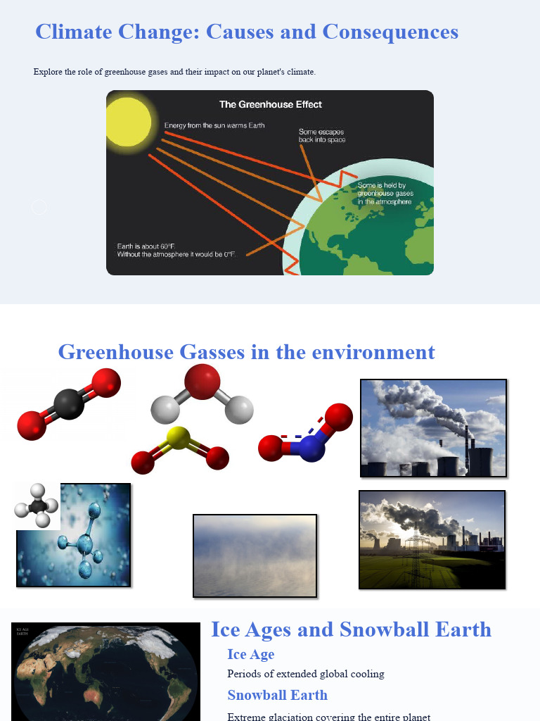 Climate Change Causes and Consequences | PDF