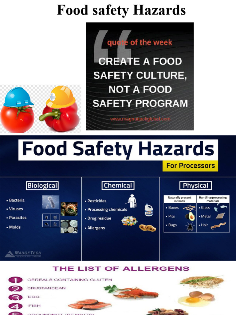 Understanding Food Safety Hazards | PDF