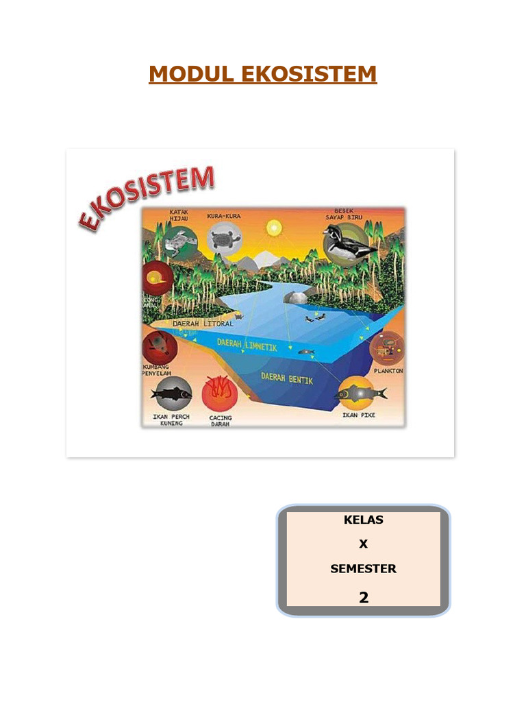 Eko Sistem | PDF | Sains & Matematika