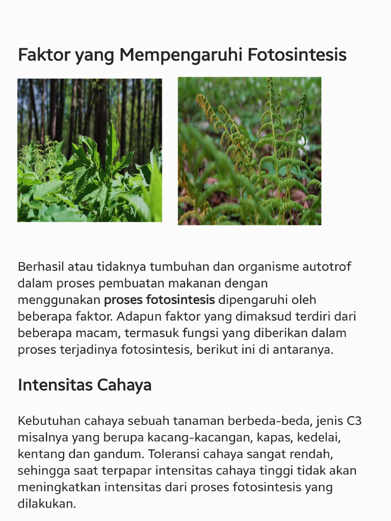 Faktor Yang Mempengaruhi Fotosintesis - 240731 - 194232 | PDF