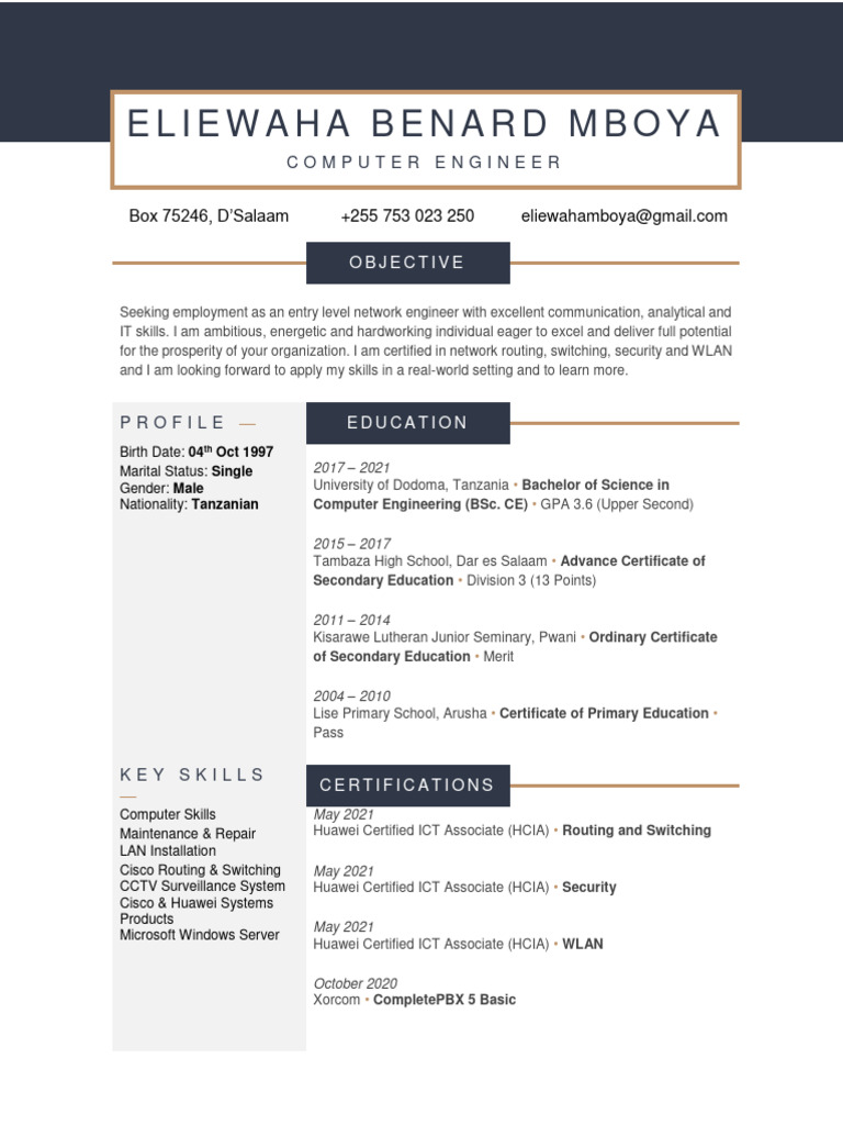 CV - Timotheo Josia | PDF | Computer Network | Local Area Network