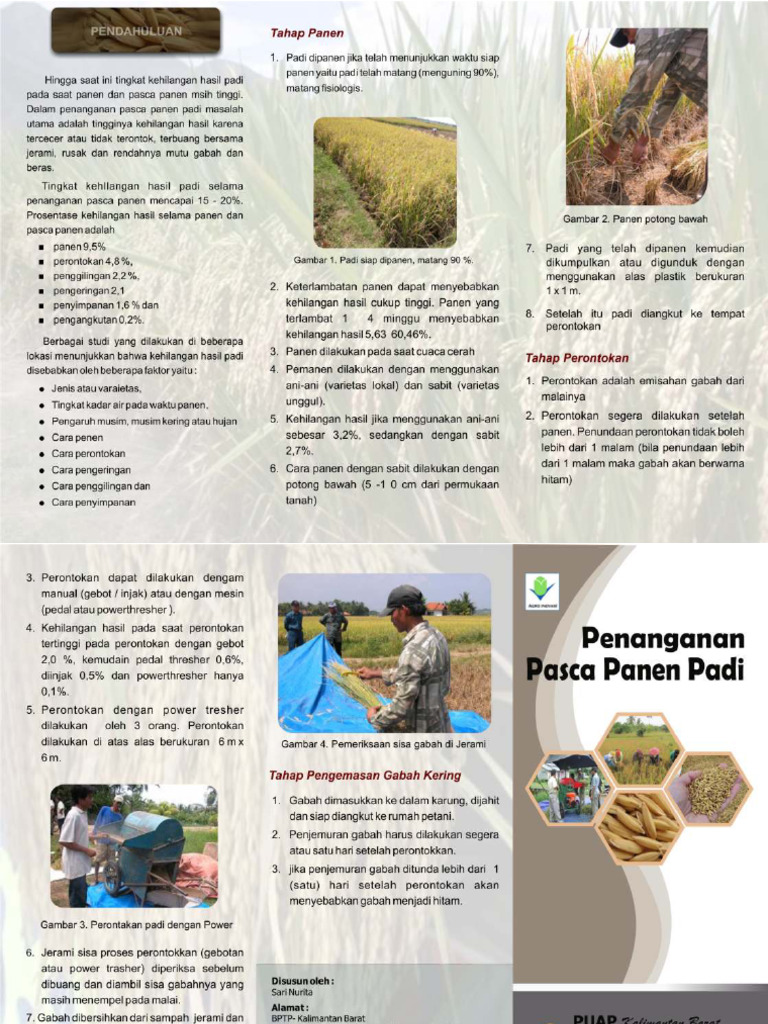 Leaflet Paska Panen Padi | PDF