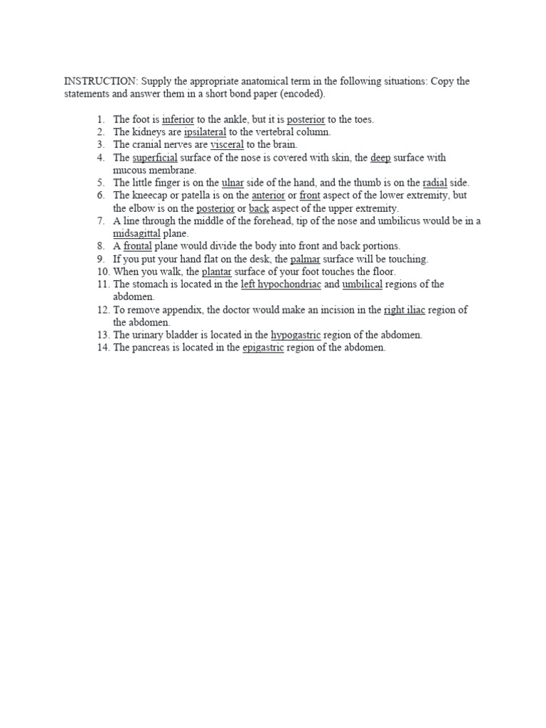 Anatomical Terms | PDF