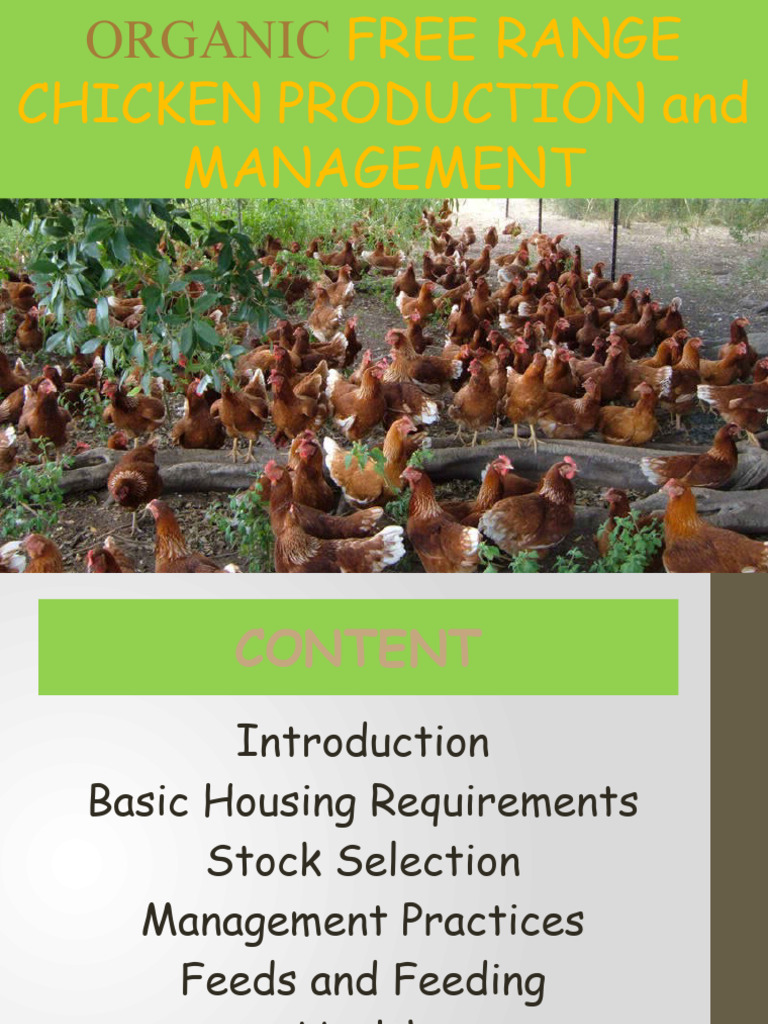 Organic Free-Range Chicken Guide | PDF | Chicken