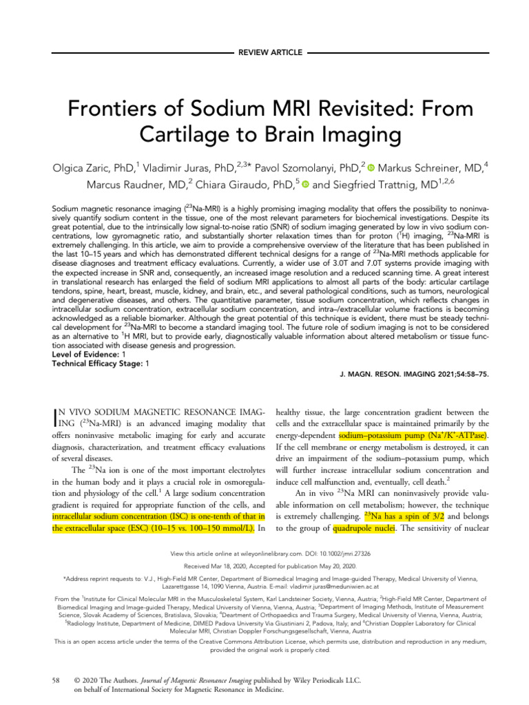 Frontiers of Sodium MRI Revisited - From Cartilage To Brain Imaging ...