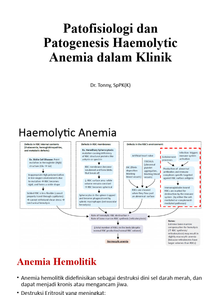 Patofisiologi Dan Patogenesis Haemolytic Anemia | PDF | Kesehatan Holistik | Sains & Matematika