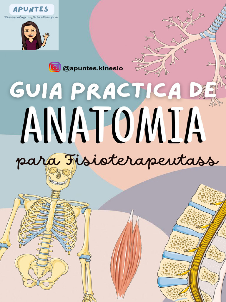 Guia Practica Anatomia Musculos | PDF | Mano | Sistema musculoesquelético