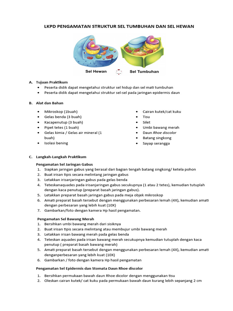 LKPD Pengamatan Struktur Sel Tumbuhan Dan Sel Hewan | PDF