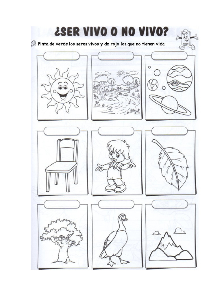 Guia Ser Vivo o Inerte | PDF