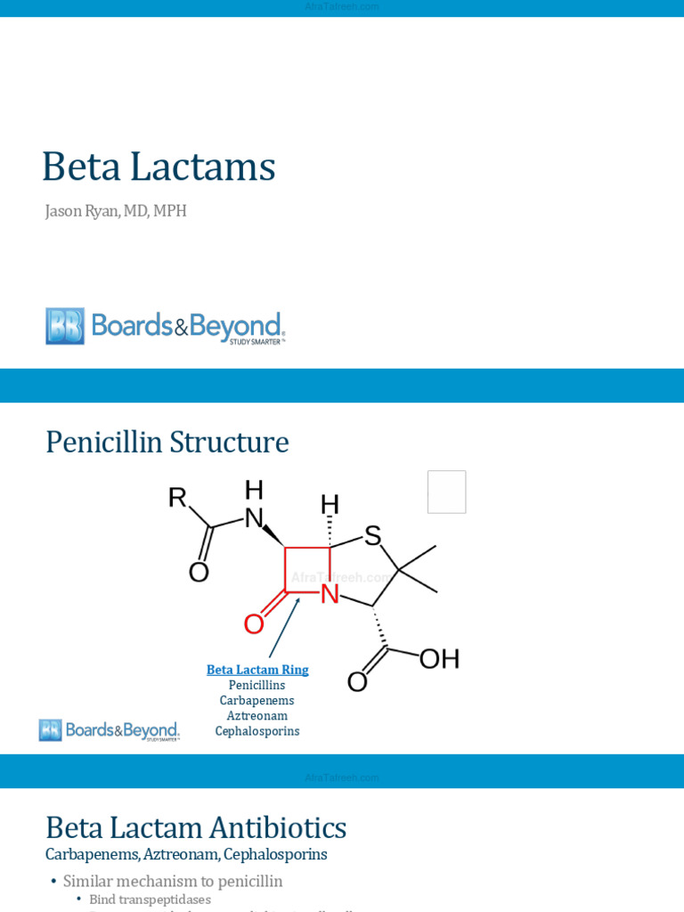 Beta Lactams Atf | PDF | Beta Lactamase | Antibiotics
