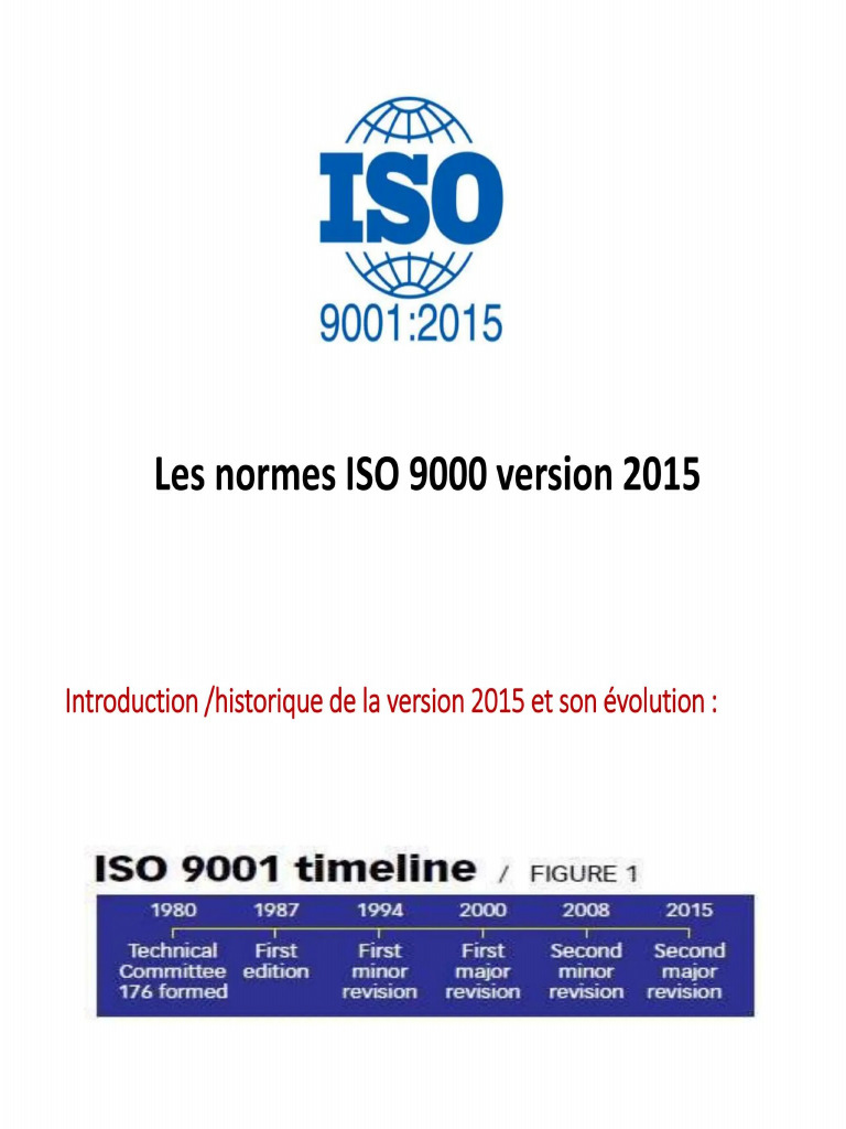 Les Normes ISO 9001 Version 2015 | PDF