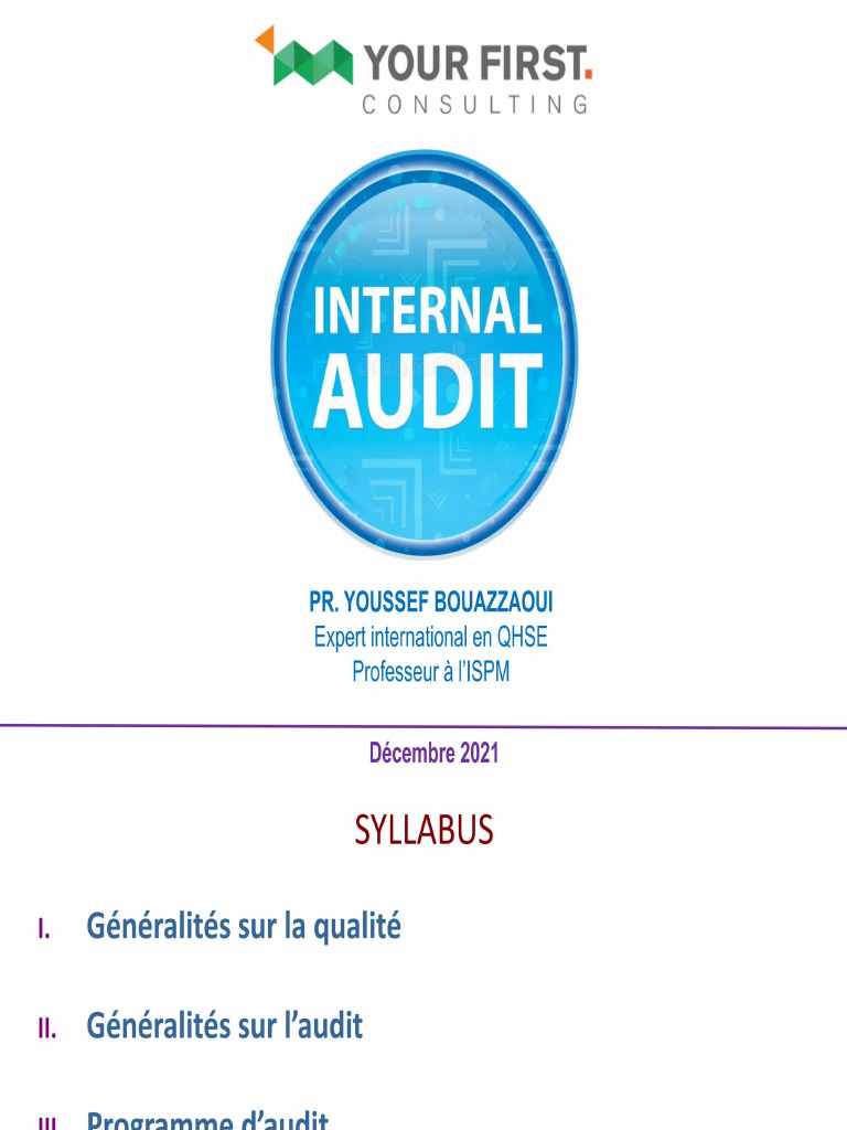 Internal Audit | PDF