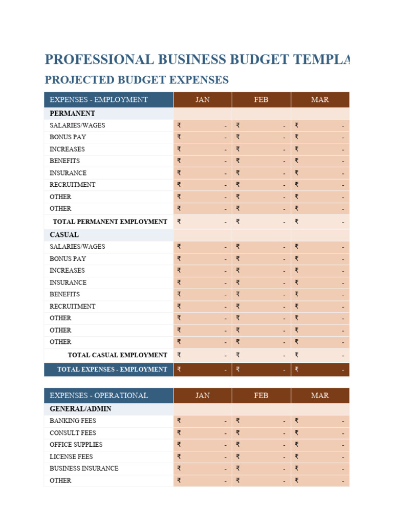 Professional-Business-Budget Template | PDF | Employment | Salary