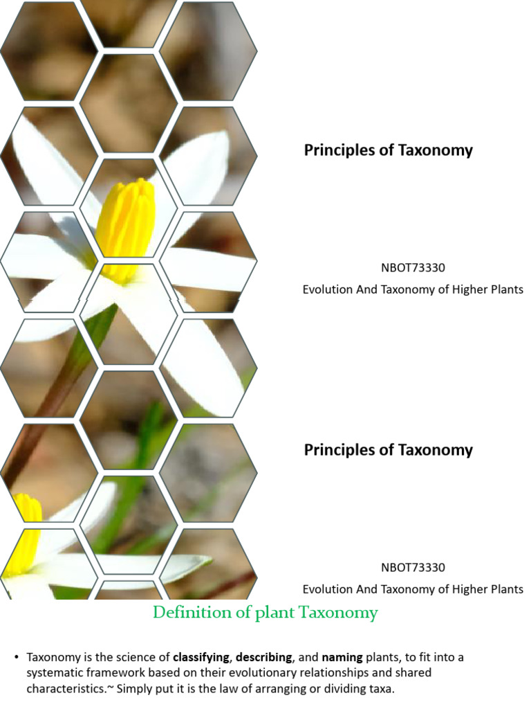 Principles of Taxonomy | PDF | Taxonomy (Biology) | Species