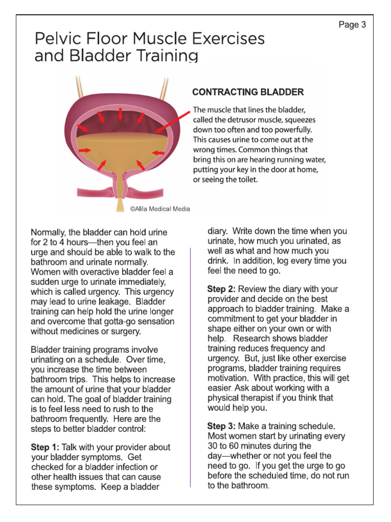 Bladder Training Large Print-3 | PDF