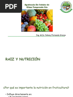 Apoplasto y Simplasto | PDF | Raíz | Biología Celular)