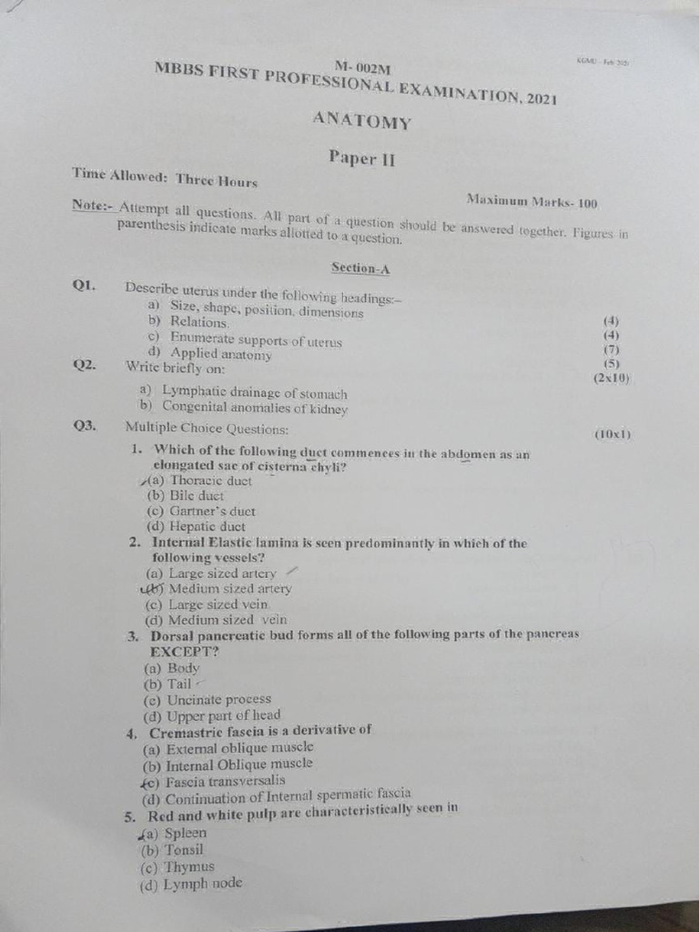 ANATOMY First Prof 2021 - 240721 - 223908 | PDF