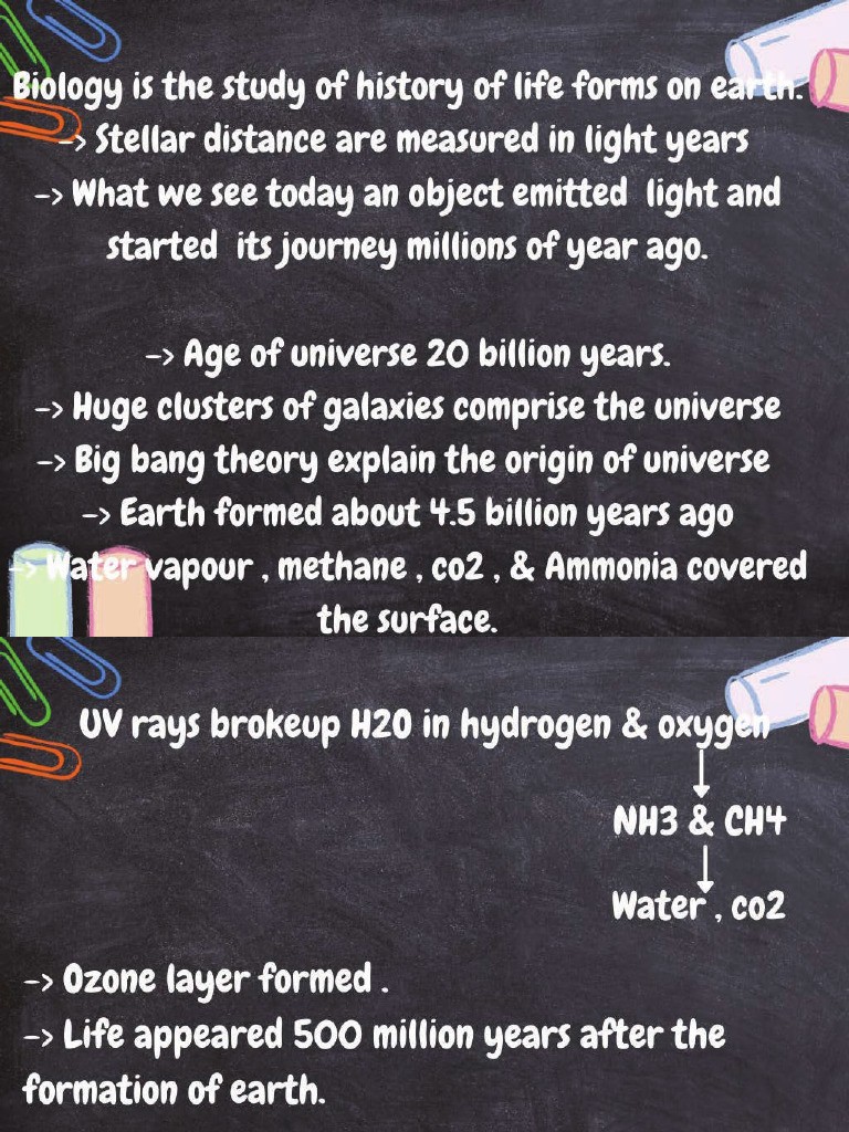 Evolution Class 12 | PDF