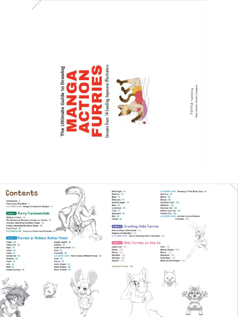 Furry Fantasy Draw | PDF