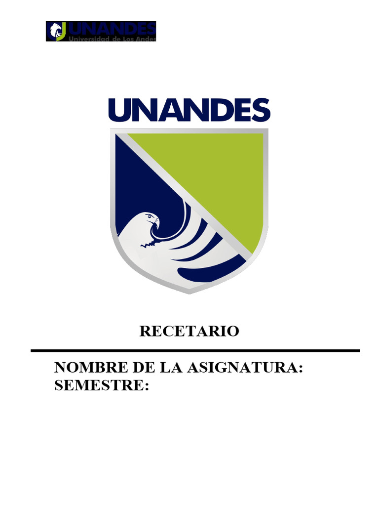 Modelo de Recetario Asiatica | PDF | Curry | Cilantro