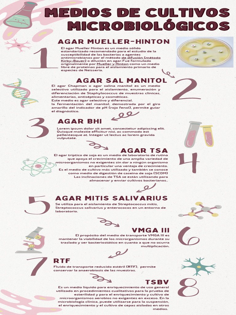 Medios de Cultivo Microbiológicos | PDF | Agar | Microbiología