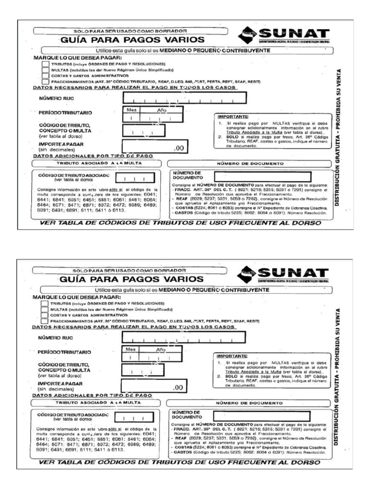 Sunat Guia | PDF