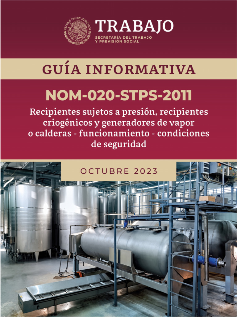 Guia Informativa Nom-020 | PDF