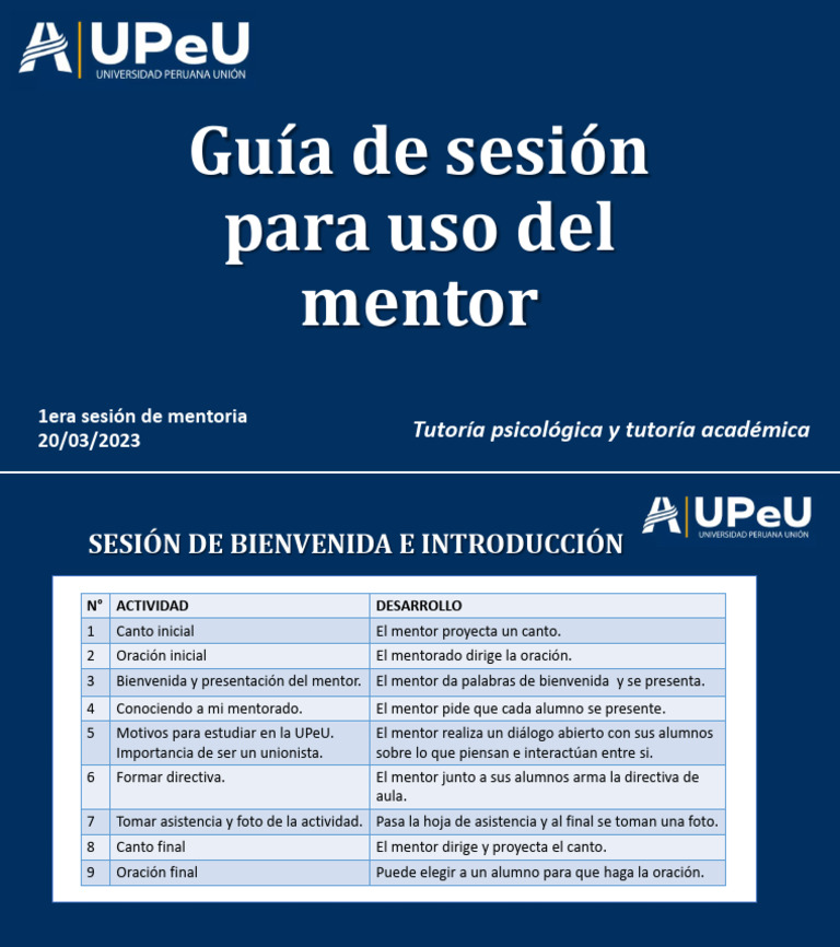 1era Guía de Sesión para Uso Del Mentor | PDF