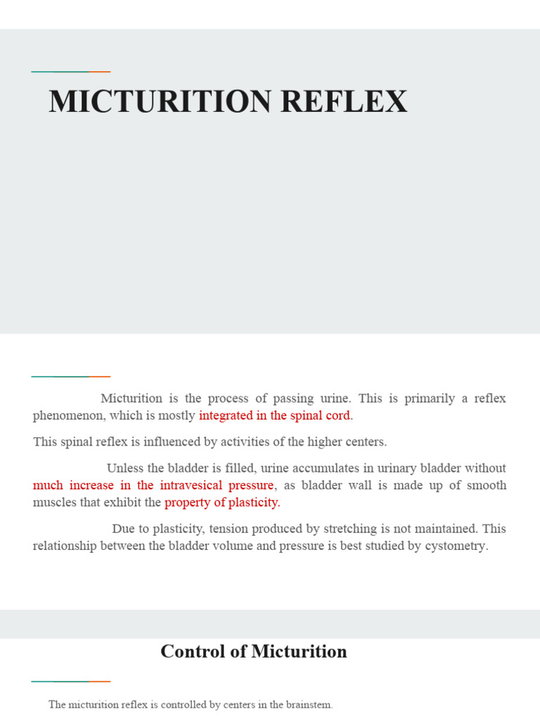 Micturition Reflex | PDF | Urination | Urinary Incontinence