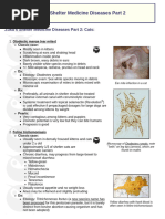Cytologic Patterns - Eclinpath PDF | PDF | Neoplasms | White Blood Cell