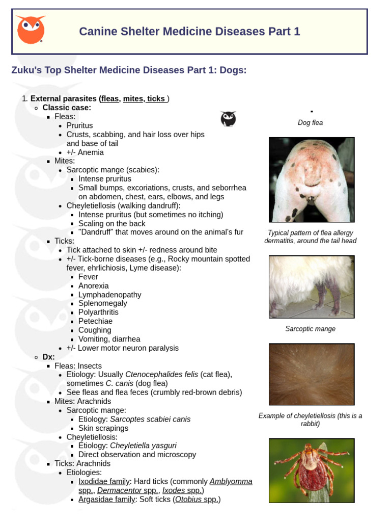 Canine Shelter Medicine Diseases Part 1 | PDF | Medical Specialties