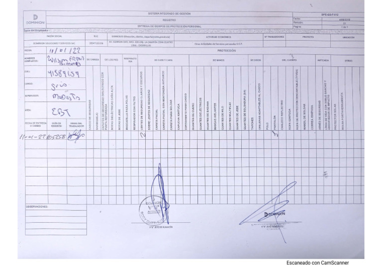 Ejemplo de Llenado | PDF