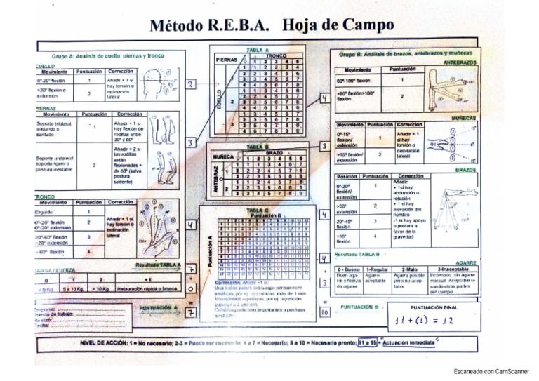 Método REBA | PDF