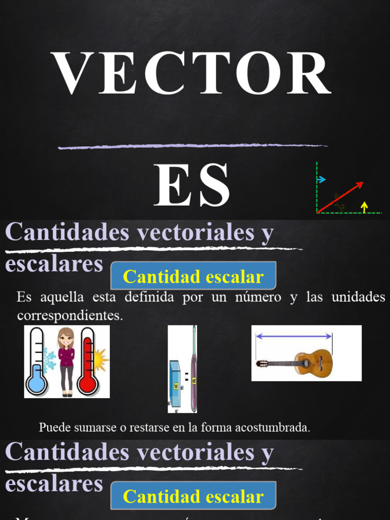 P04 Vectores | PDF | Vector Euclidiano | Escalar (Matemáticas)
